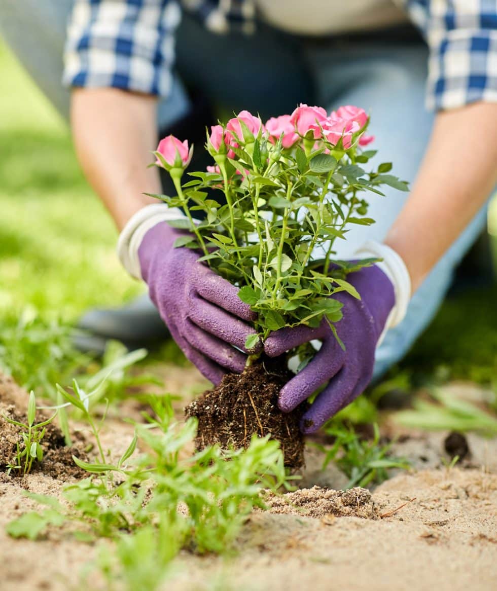 Dentist for Kids Near West Bend WI - Dr Laura Goodell DMD